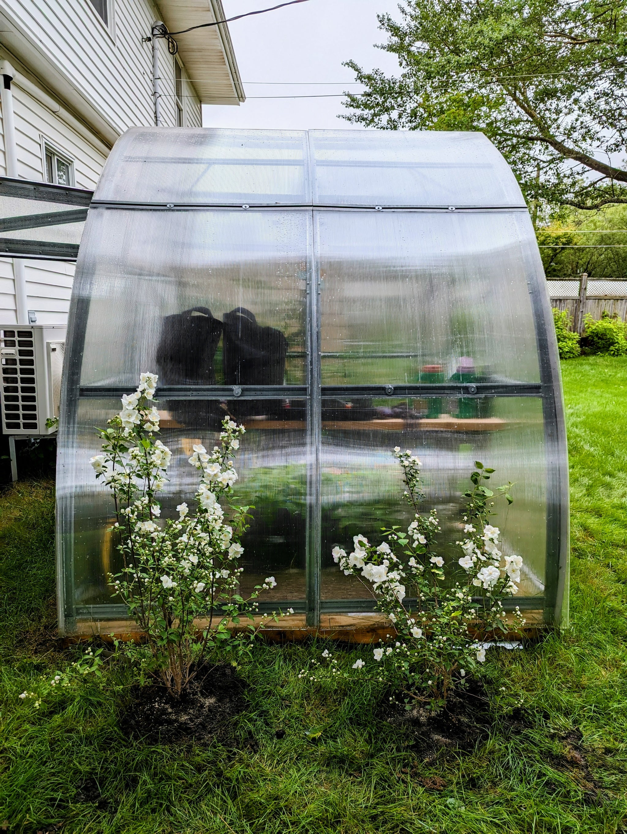 Sungrow Compact Greenhouse Kits - DIY Backyard Greenhouse Kit for Sale