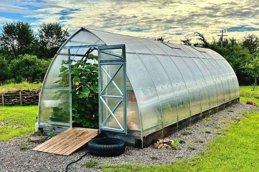 Sungrow Greenhouse Kits - DIY Backyard Greenhouse Kit for Sale